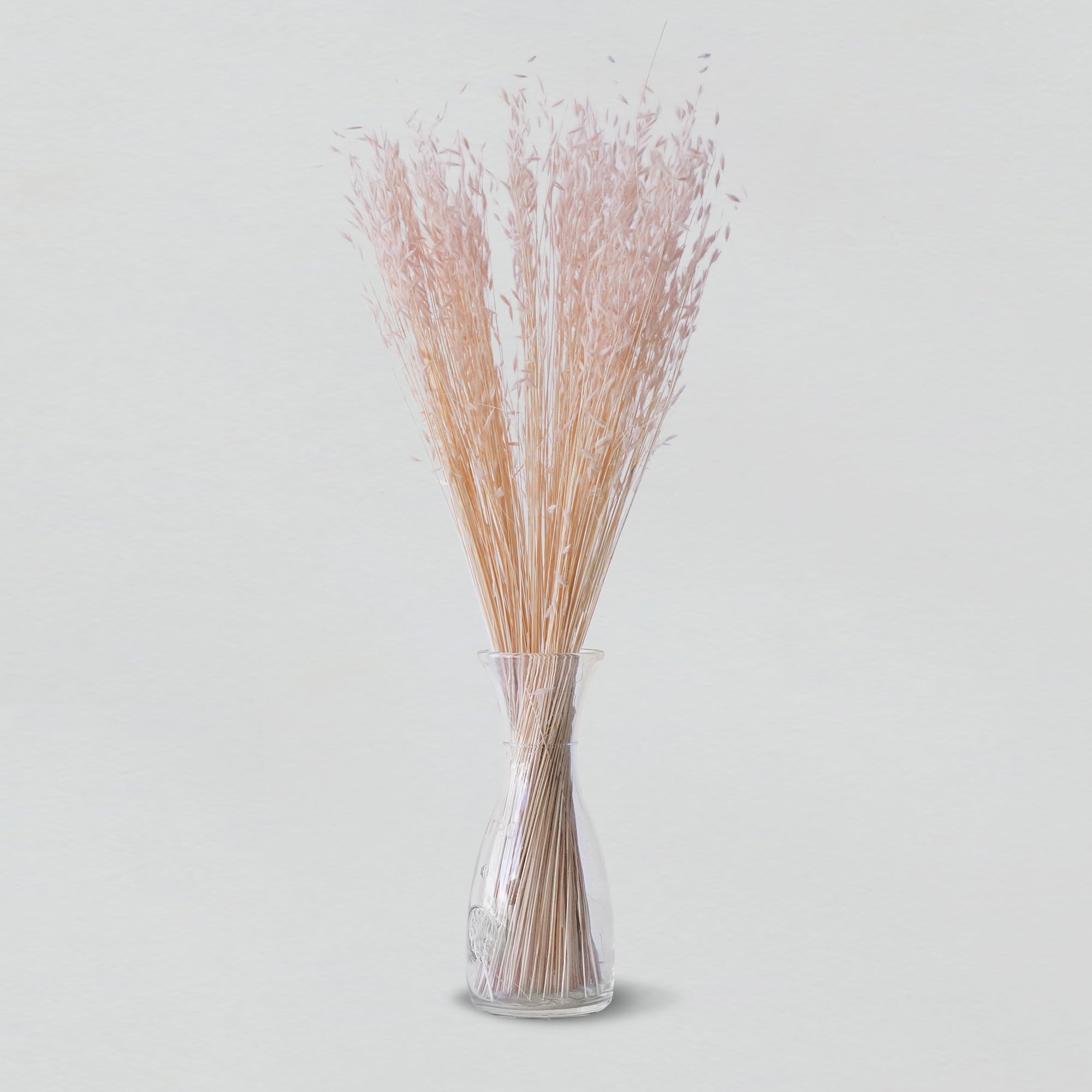 Eternity Beige Princess Grass – The Floral Atelier