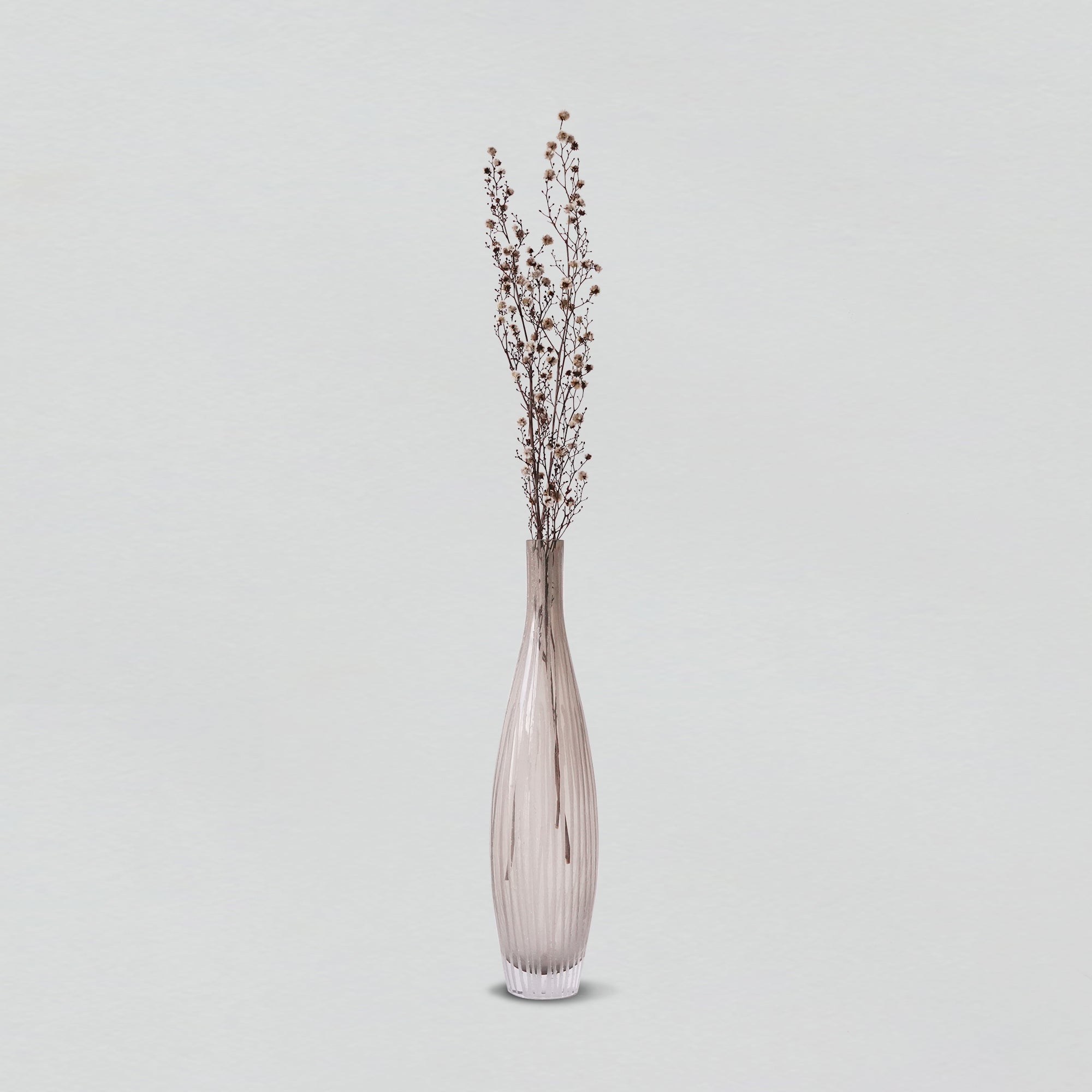 Eternity Cream Stirlingia Flower – The Floral Atelier