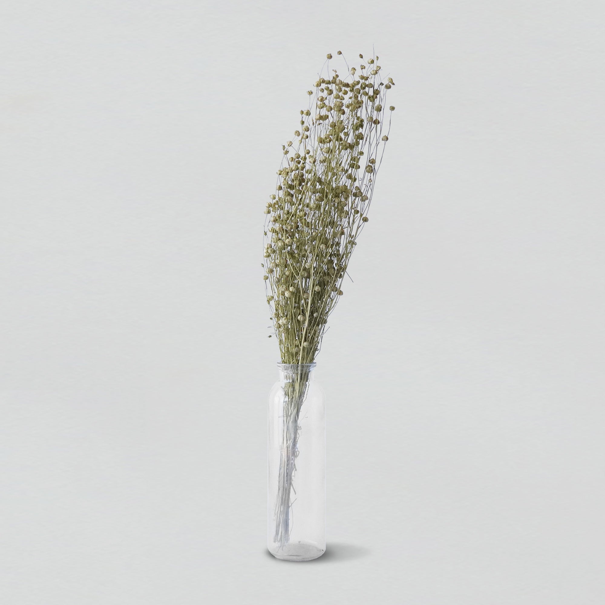 Eternity Green Flax Rin Flower – The Floral Atelier