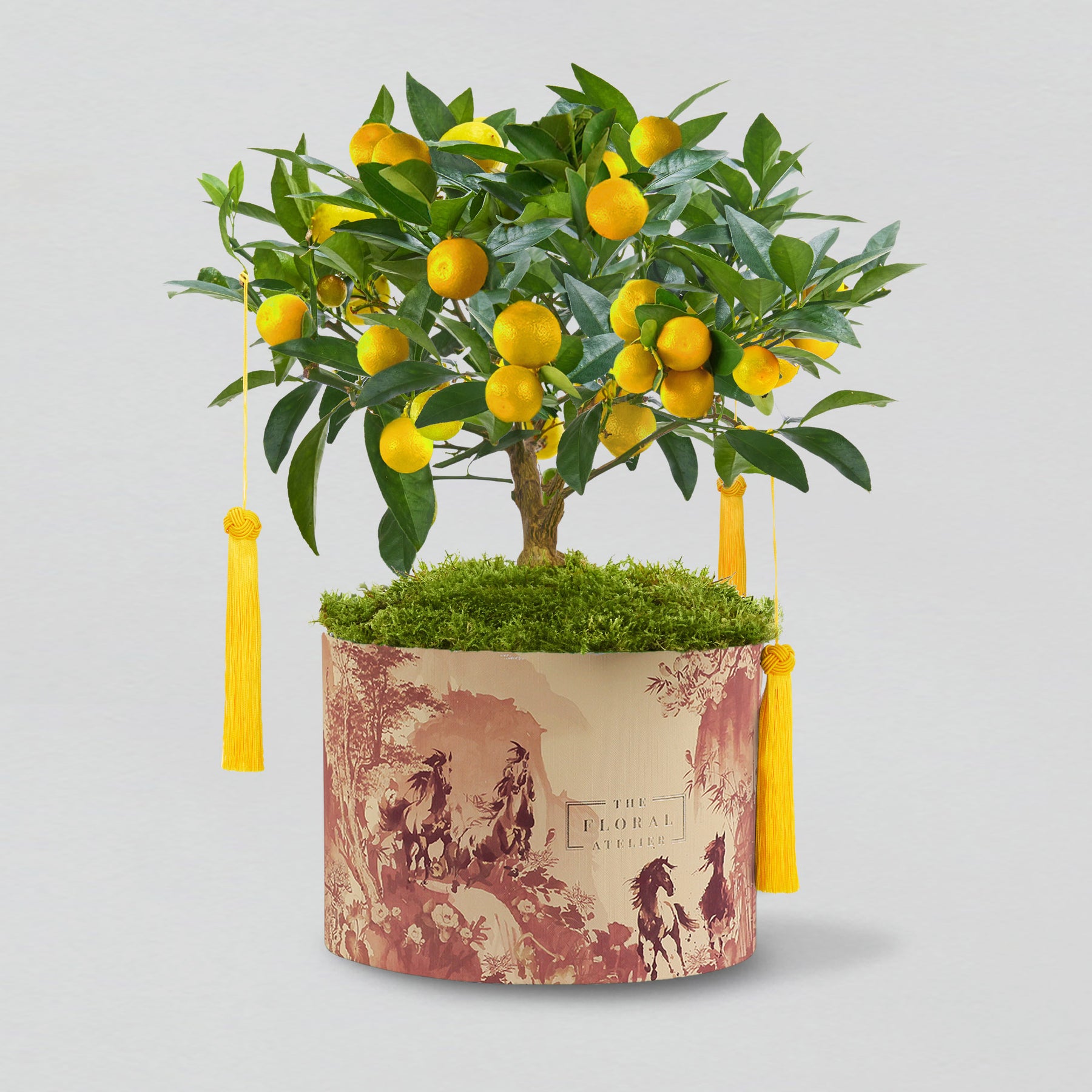 Hong Kong Exclusive: Happiness Mandarin Tree 橙福满盈 – The Floral Atelier