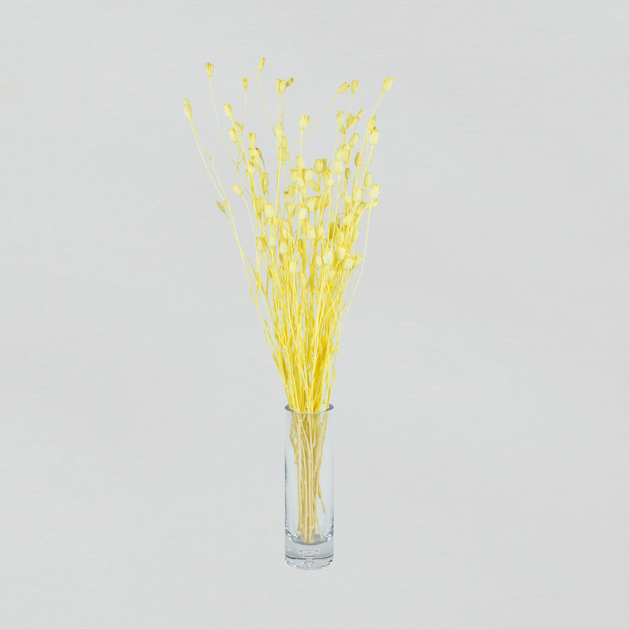 Eternity Yellow Florentiner – The Floral Atelier