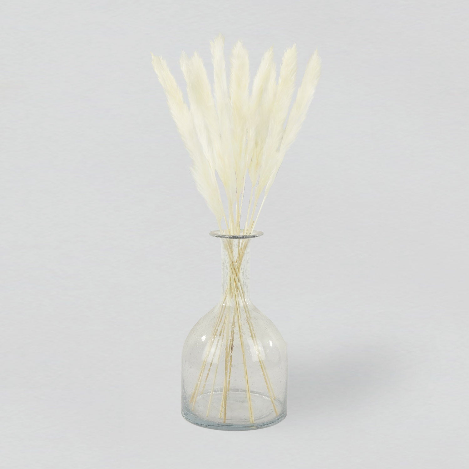 Eternity White Mini Tail Reed – The Floral Atelier